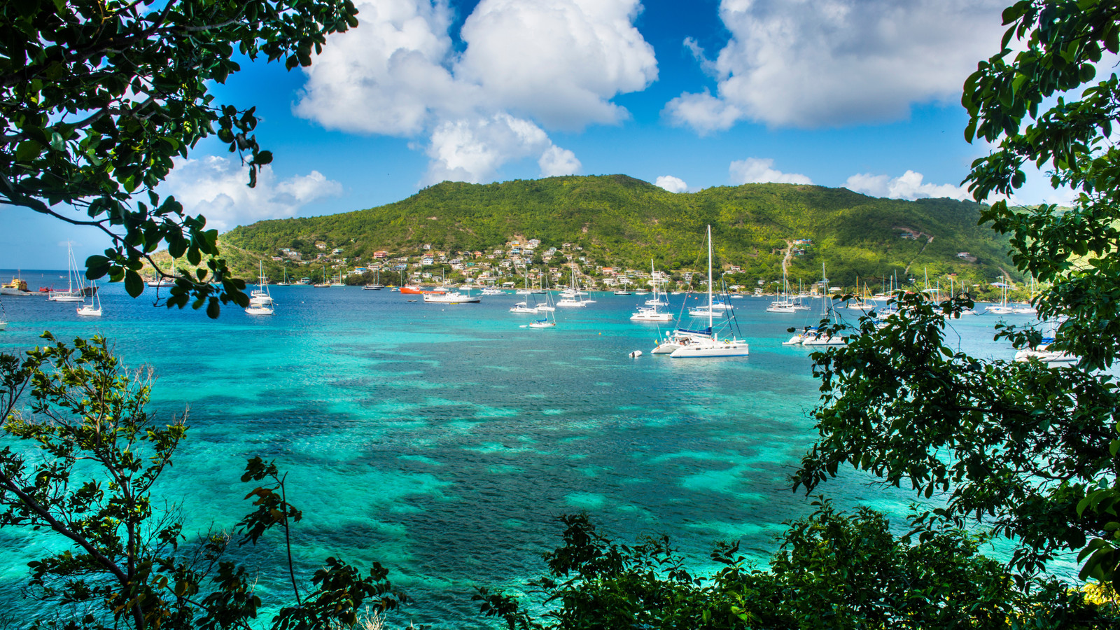 Delta Launches New St. Vincent & Grenada Flights: Your Caribbean Escape ...