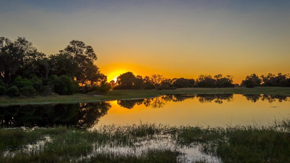 Botswana Game Reserve Closure March 5-26 Due to Flooding